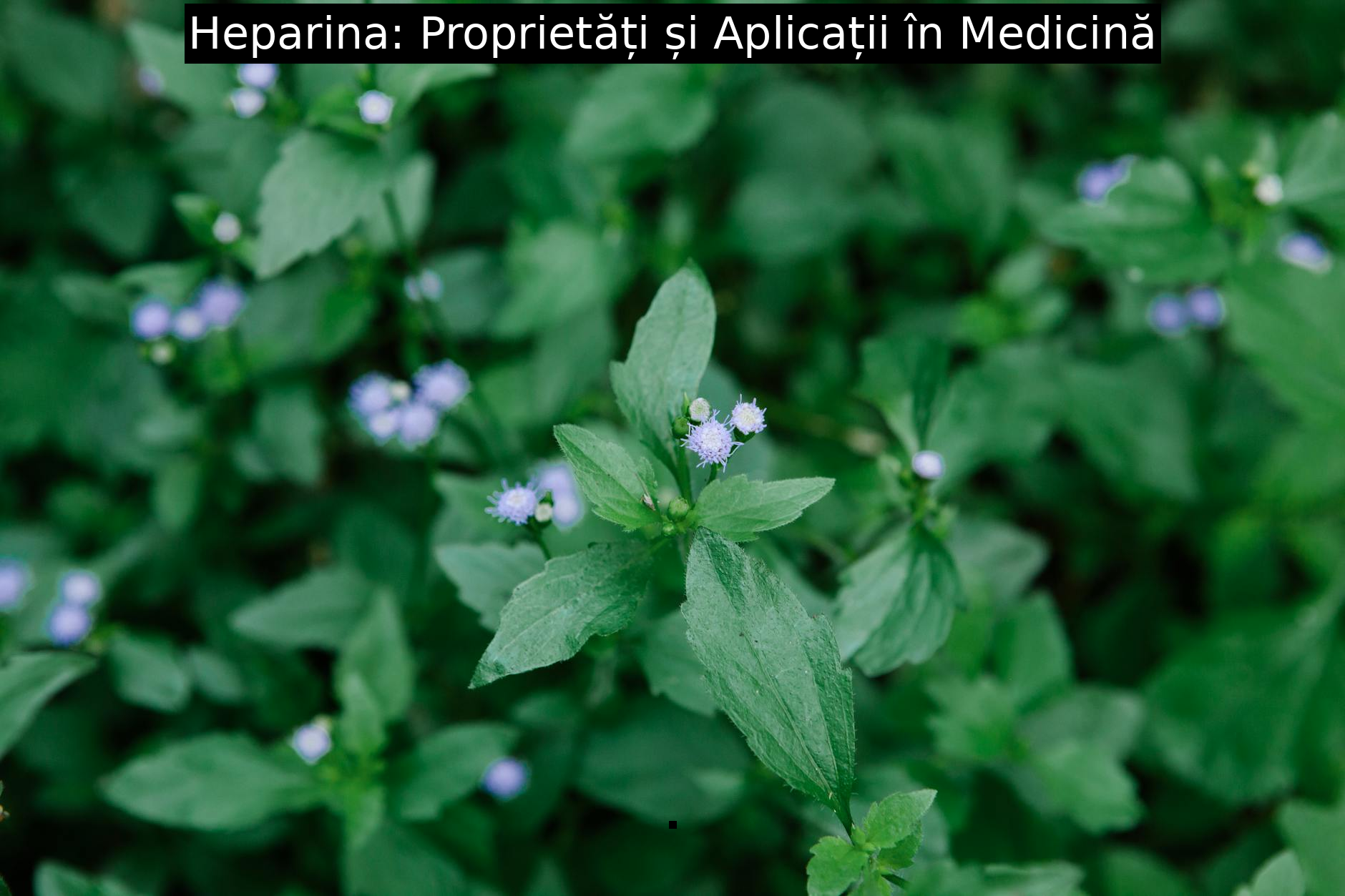 Heparina: Proprietăți și Aplicații în Medicină - Ghid Sanatate