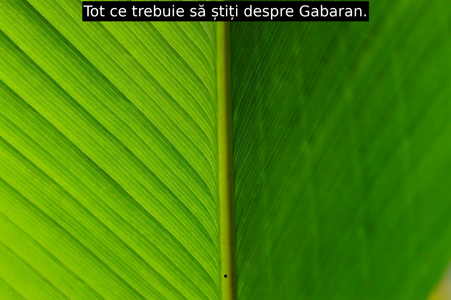 Tot ce trebuie să știți despre Gabaran. - Ghid Sanatate